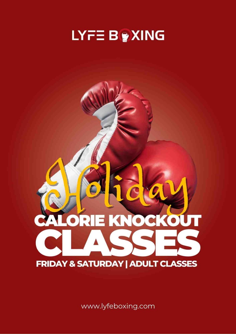 Boxing Classes in Floral Park, Long Island - Lyfe Boxing Floral Park